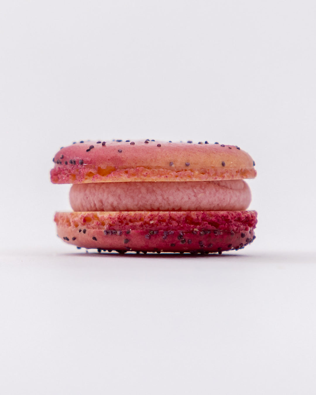 24 Raspberry French Macarons – Rocq Macarons