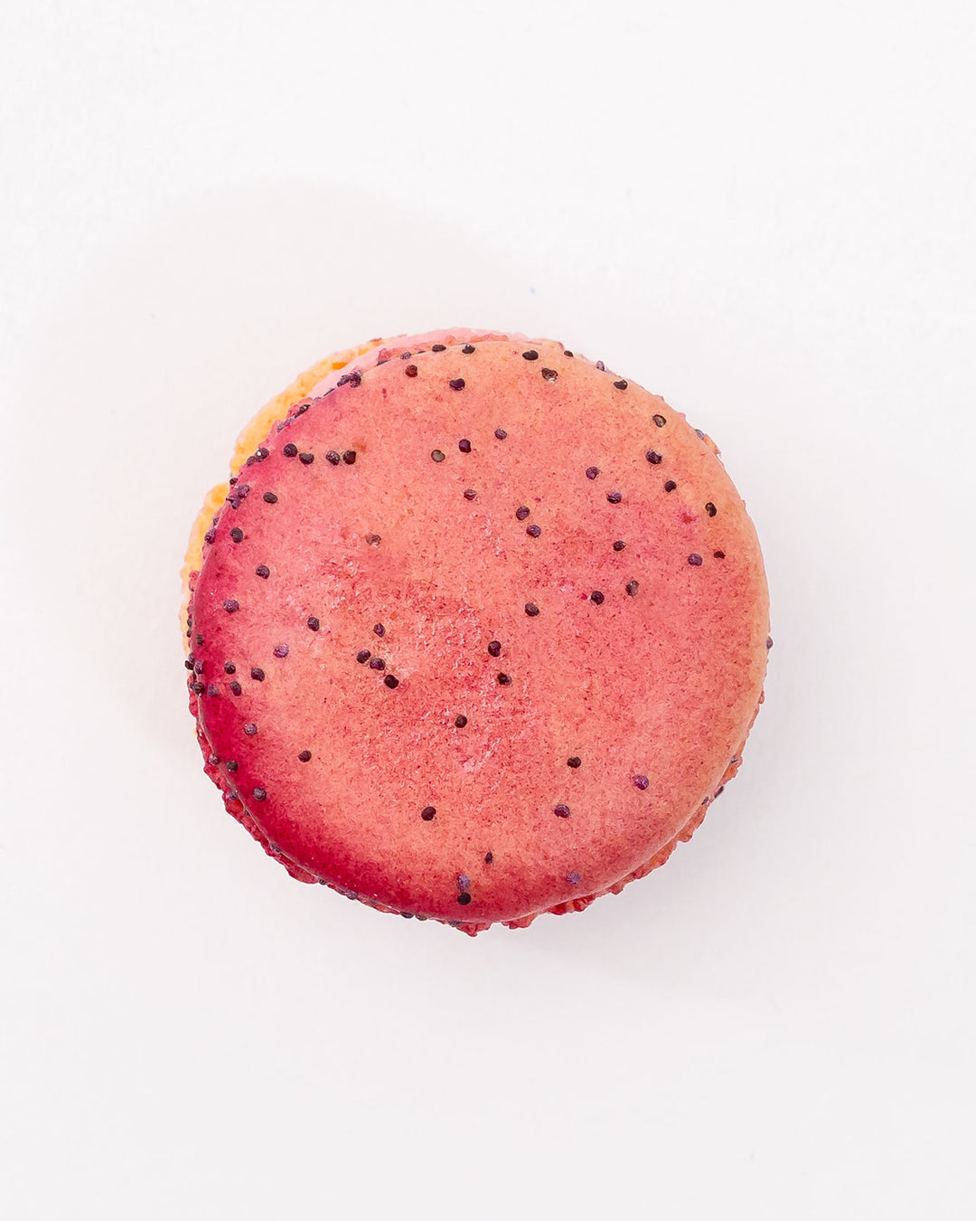 24 Raspberry French Macarons – Rocq Macarons